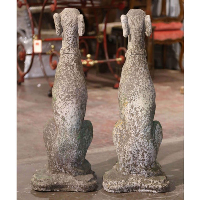Vintage French Outdoor Weathered Carved Stone Greyhound Dog Sculptures ...