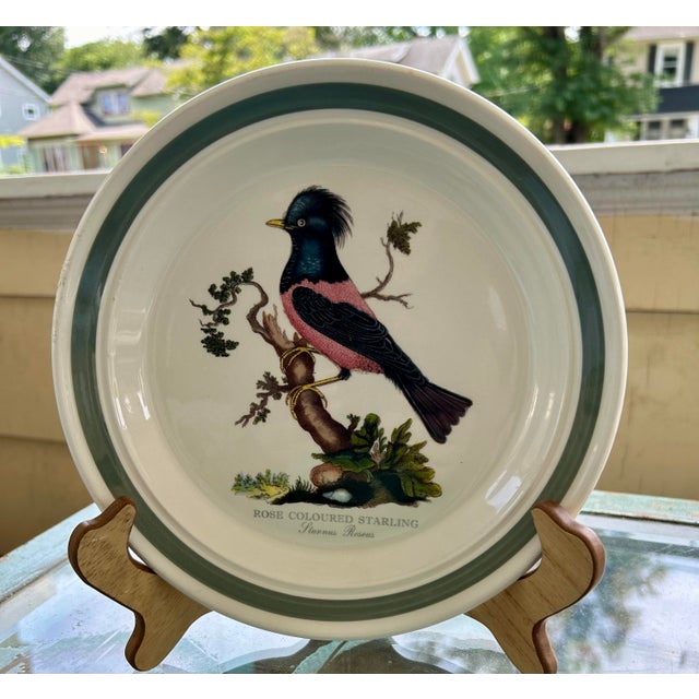 1980s Portmeirion Birds of Britain Collection - Green Banded Rims- Set ...