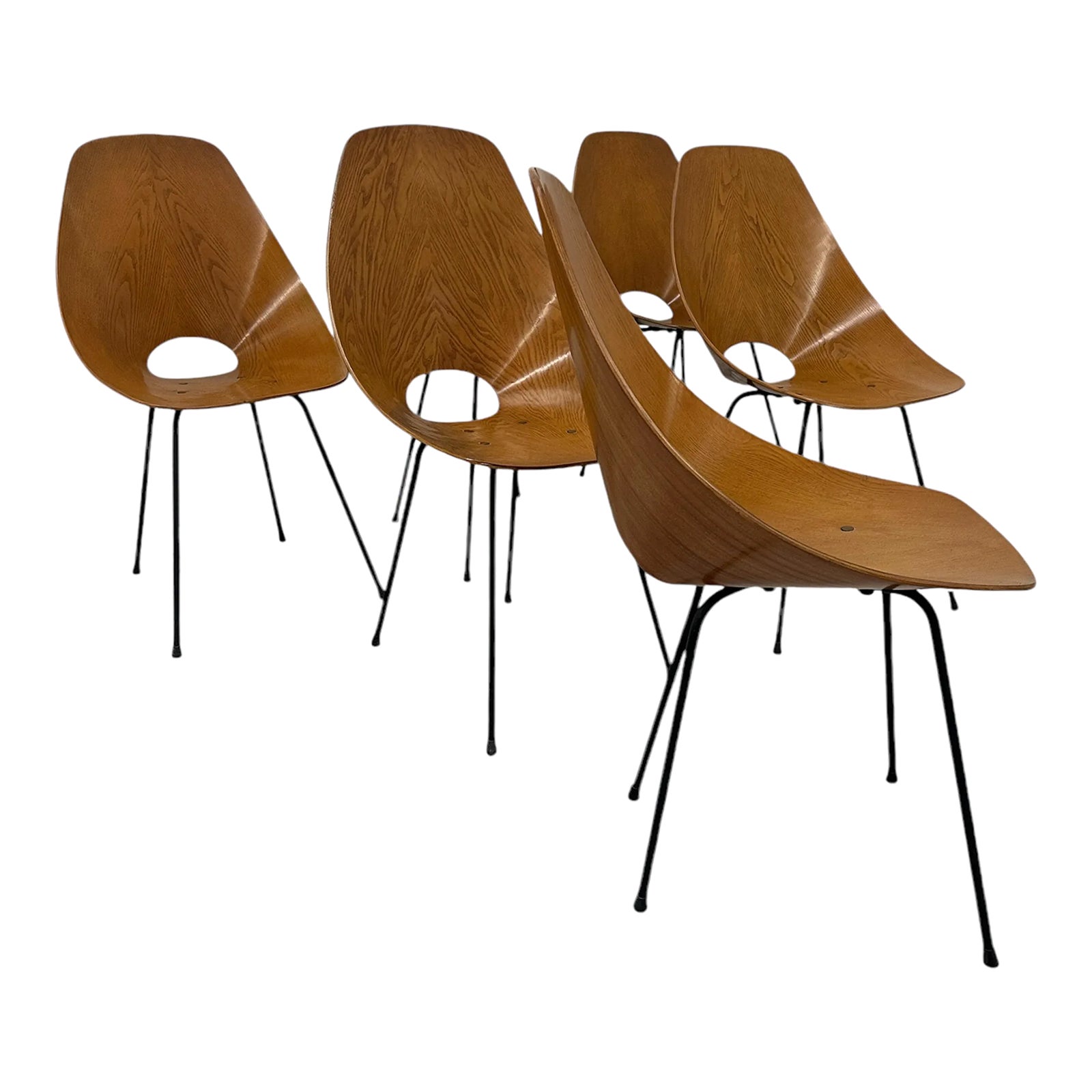 Set of 6 Medea Chairs by Vittorio Nobili, 1950s | Chairish