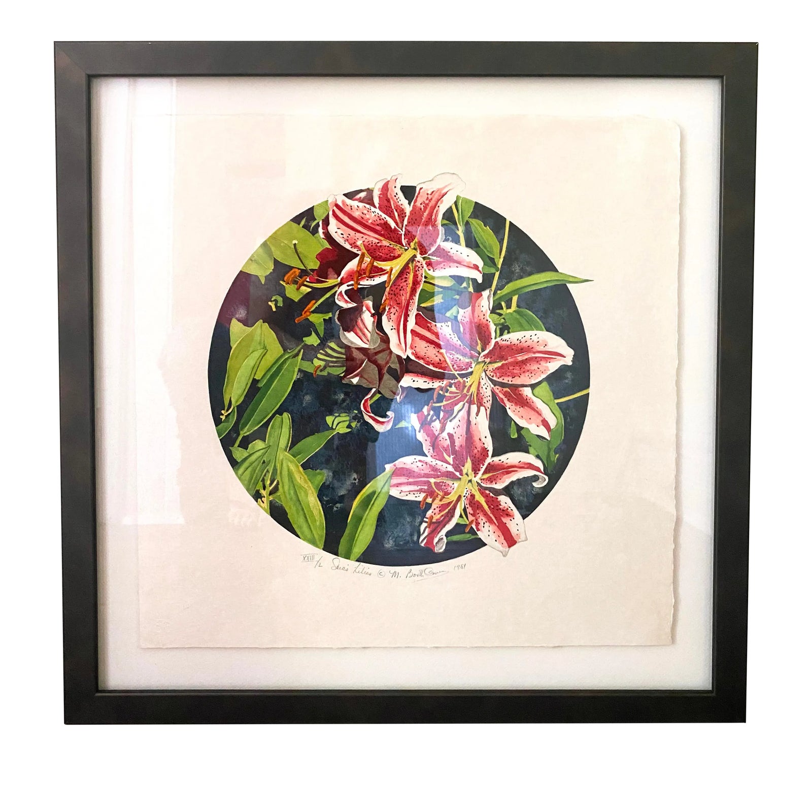 1981 Original "Sarah's Lilies" Botanical Lithograph by Mary Booth Cabot ...