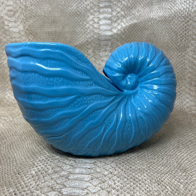 Glazed Ceramic Cyan Blue Nautilus Shell Bowl Planter | Chairish