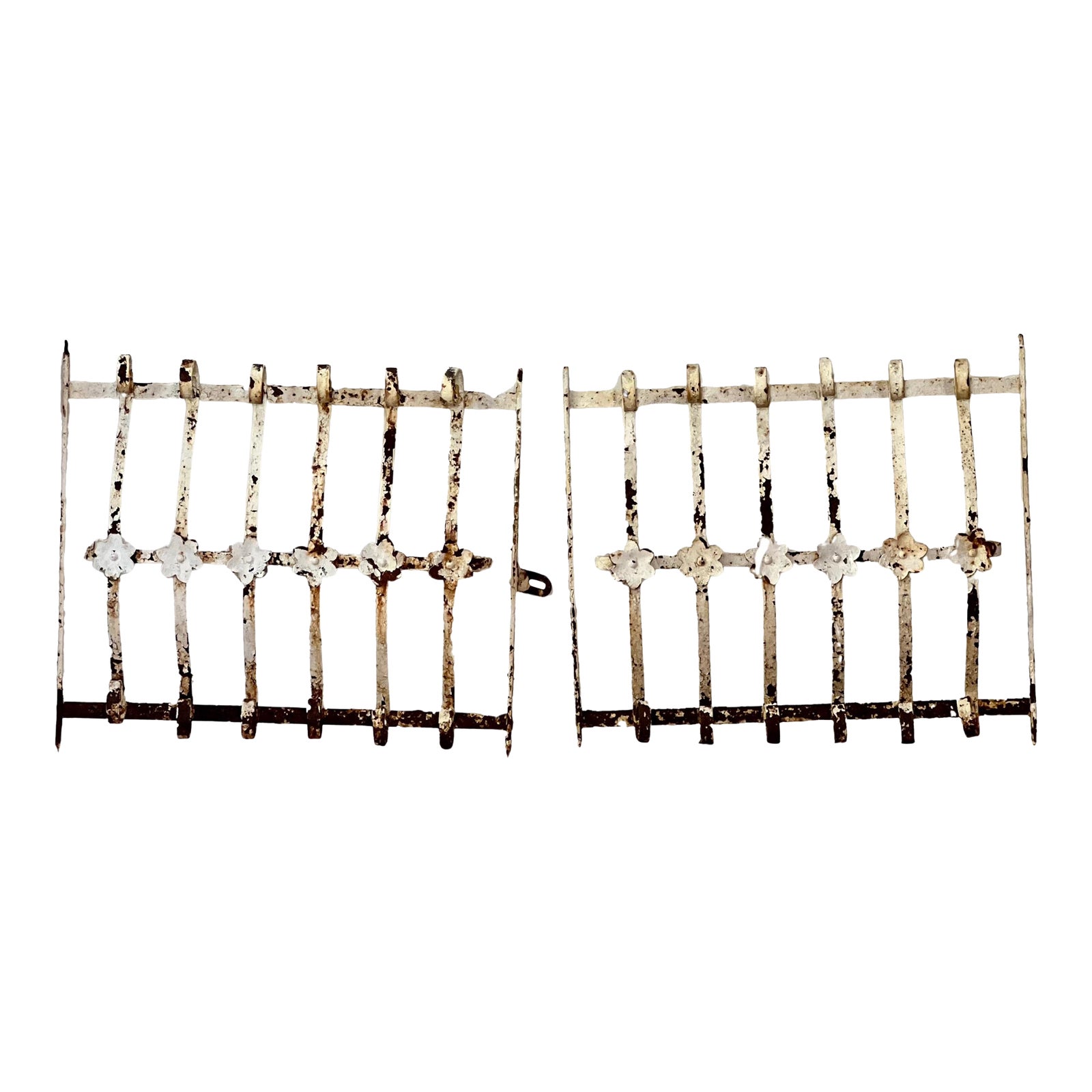 19th Century Wrought Iron Window Guard Grills or Garden Gates, Set of 2 ...