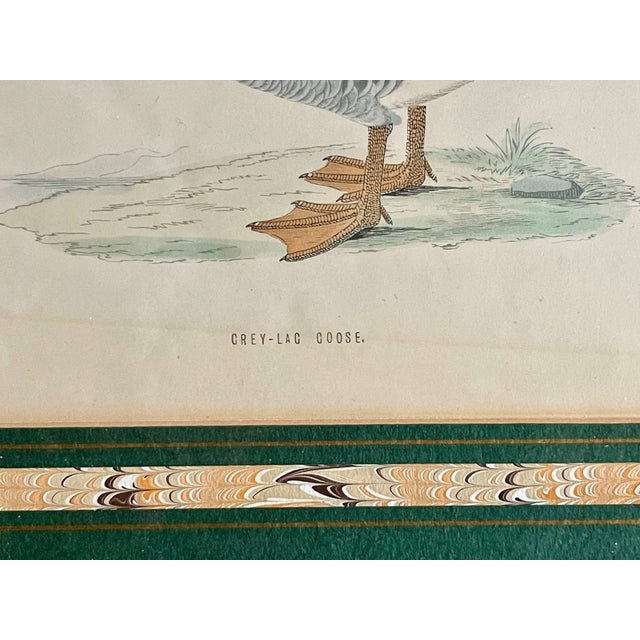 19th C. English Traditional Duck Bookplates -- a Pair | Chairish
