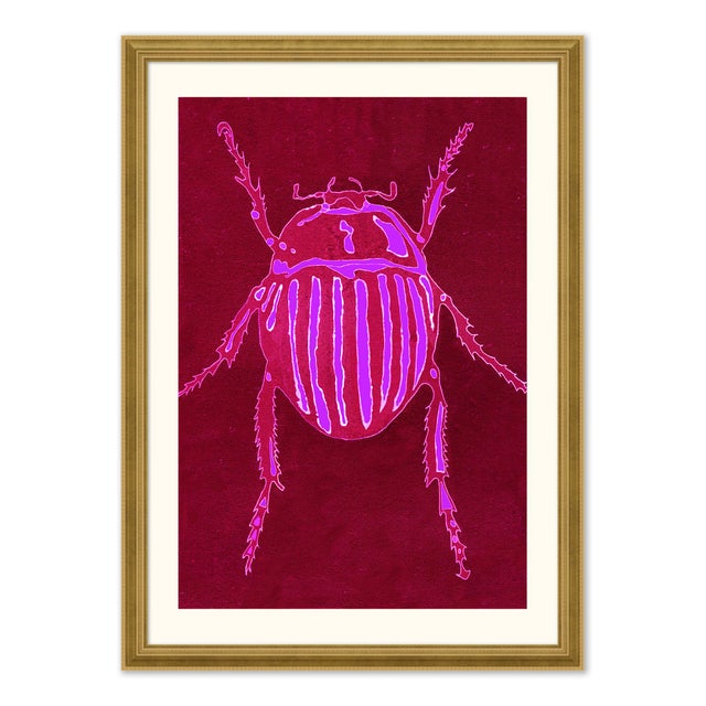 Striped Beetle - Bright Series no. 2 by Jessica Molnar in Gold Frame ...