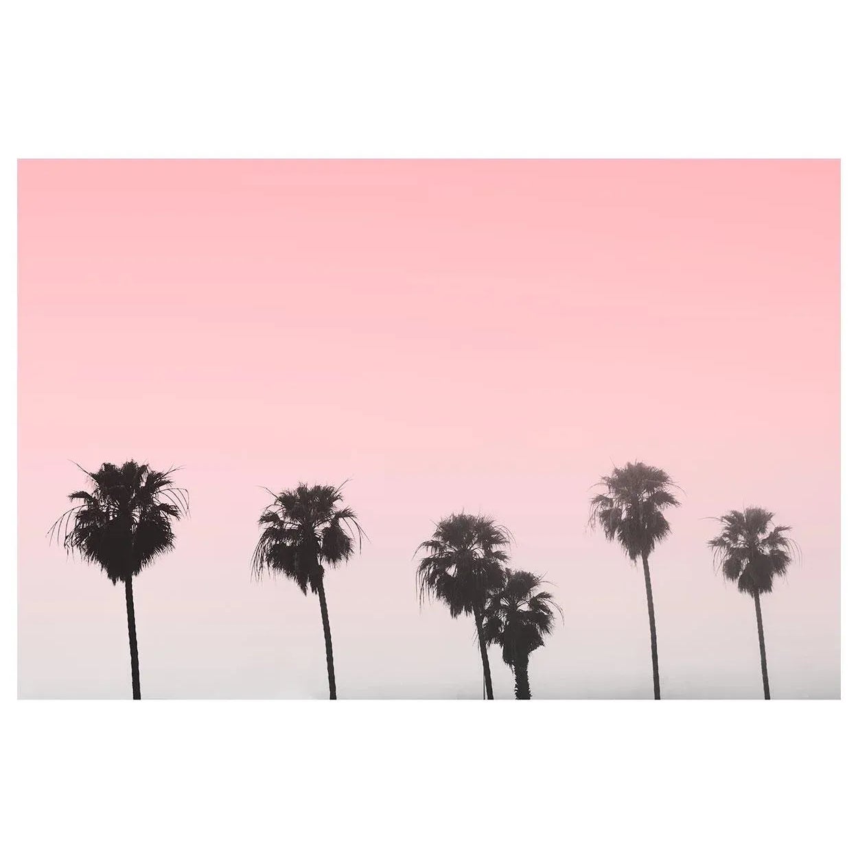 Pink Palm Tree Sky Photograph | Chairish