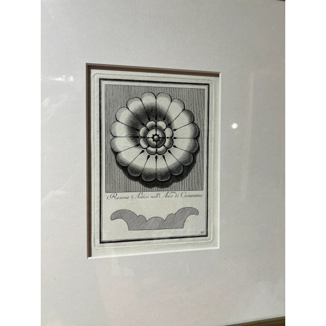 Set of 12, 18th Century Italian Roman Architectural Rosettes by Carlo ...