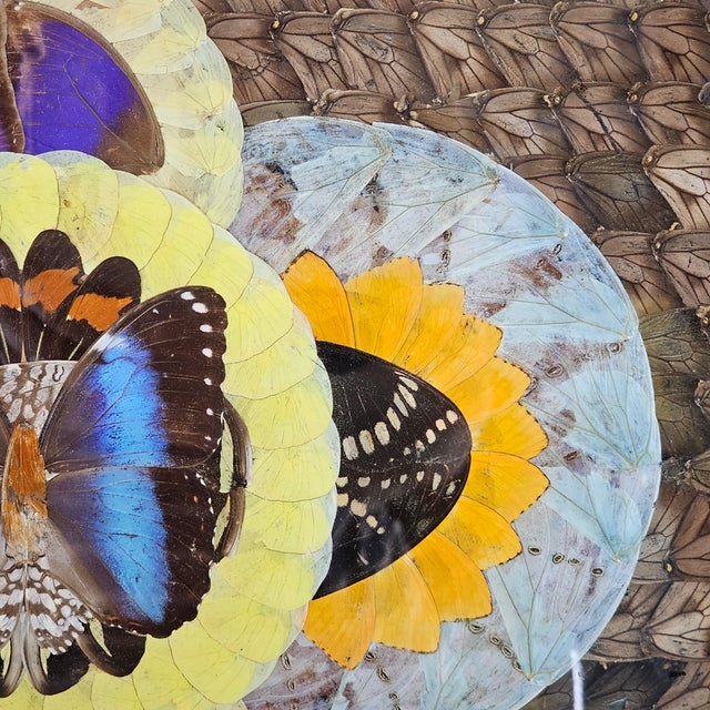 Brazilian Butterfly Blue Iridescent Wing Art Wood Inlay Tray | Chairish