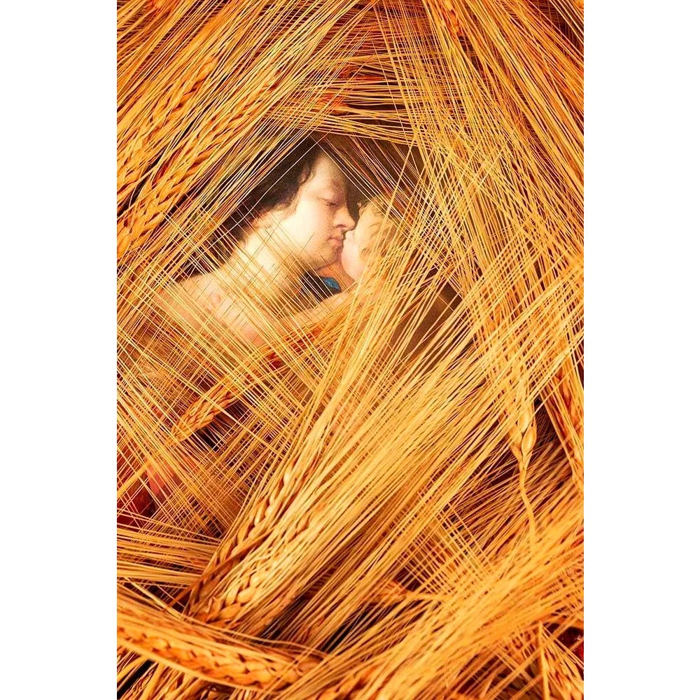 "Harvest" Contemporary, Dada Style Limited Edition Photograph by Zeren ...