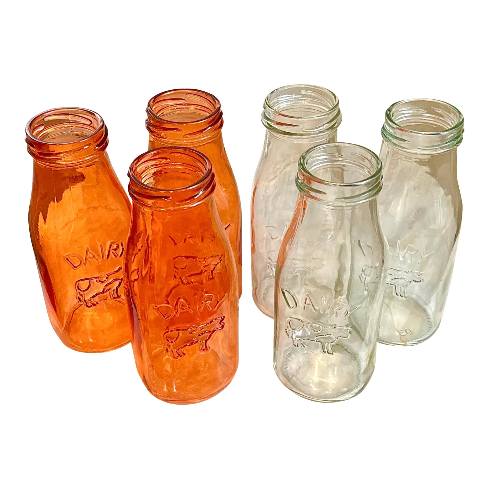 Vintage Dairy Cow Embossed Glass Milk Bottles - Set of 6 | Chairish
