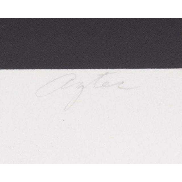 1983 “Aztec” Limited Edition Op Art Serigraph by Roy Ahlgren | Chairish