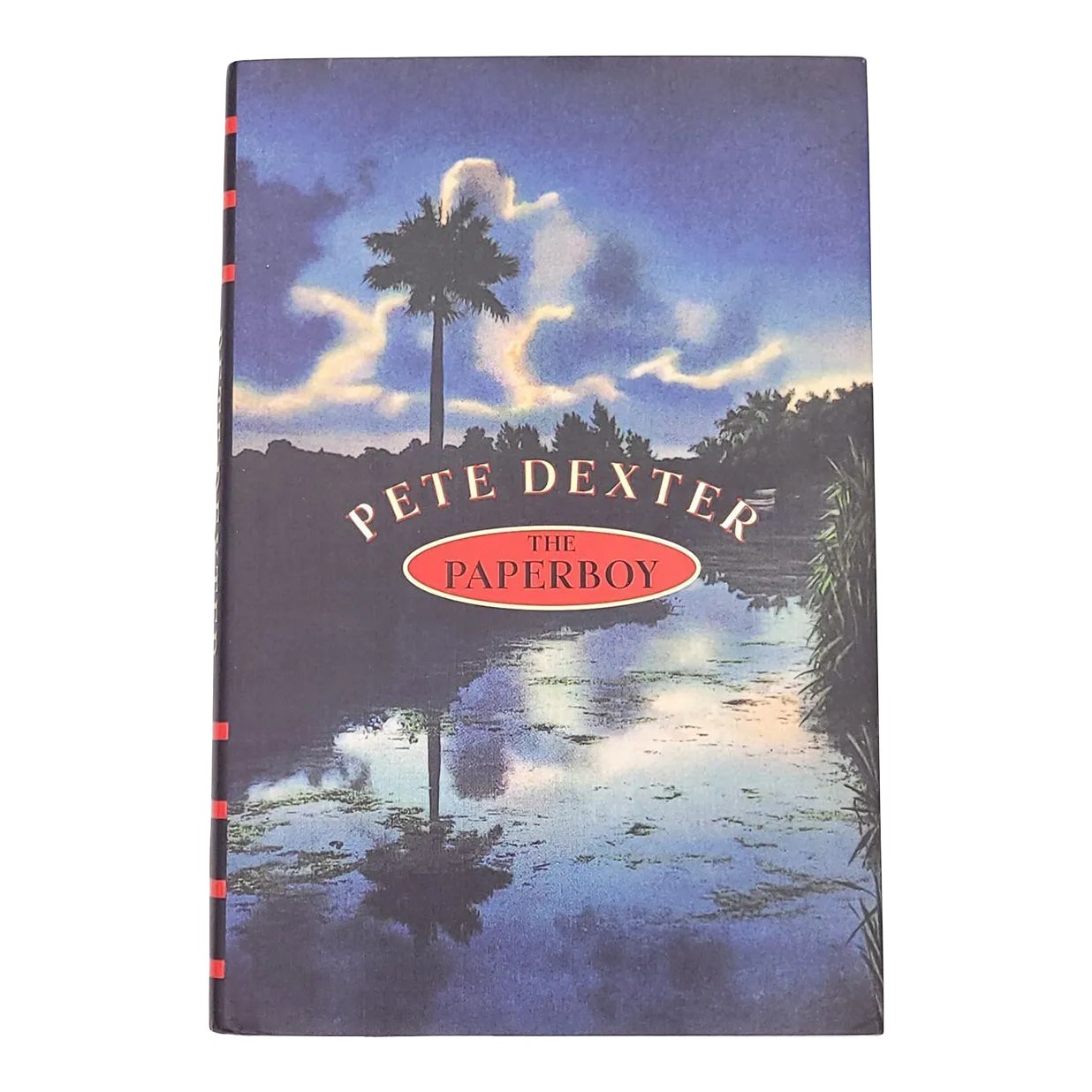 Pete Dexter, "The Paperboy", First Trade Edition 1995 | Chairish