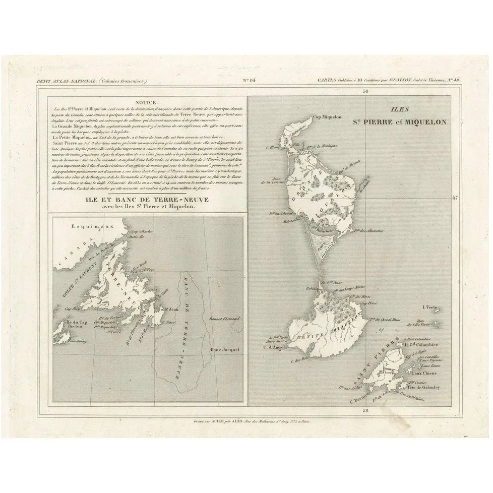 French Map of Newfoundland and St. Pierre and Miquelon, 1820 | Chairish