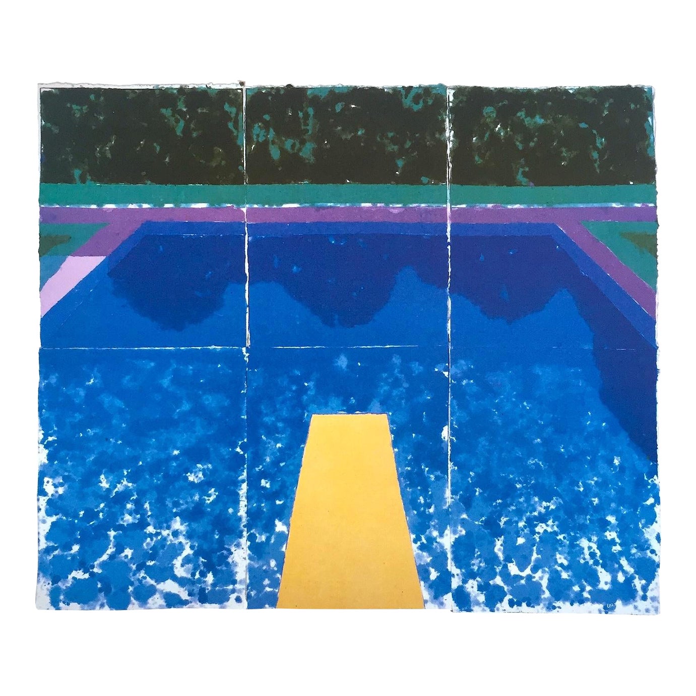David Hockney Vintage 1978 Tyler Graphics Lithograph Print " Day Pool ...