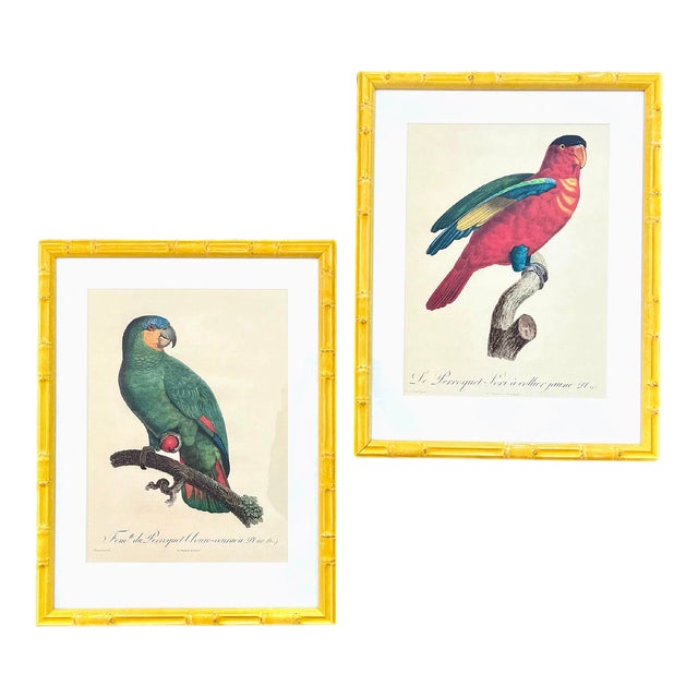 Jacques Barraband (1768-1809) Vintage Parrot Prints -- a Pair | Chairish