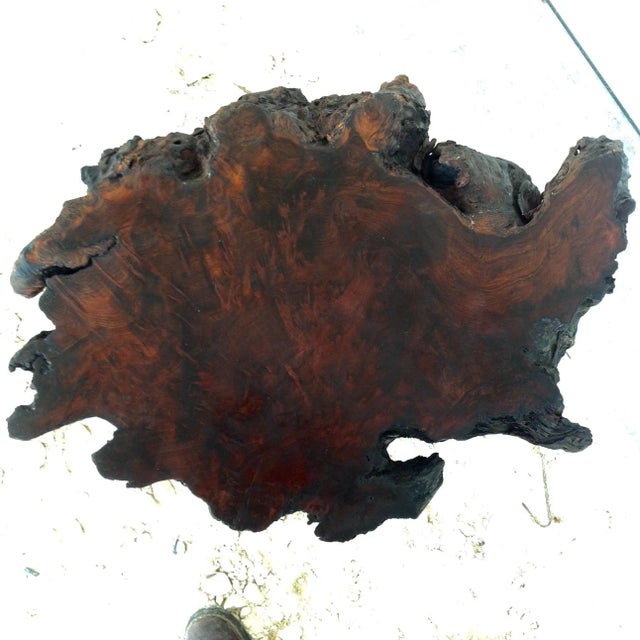 Black Walnut Burl Slab Side Table | Chairish