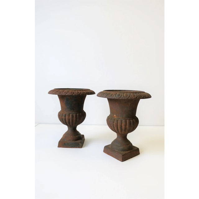 Neoclassical Iron Urns Flower or Plant Planters Jardinières, Pair ...