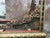 Antique Royal Thai Daybed | Chairish