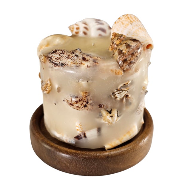 Embedded Shell Candle Wax W/ Wood Stand | Chairish