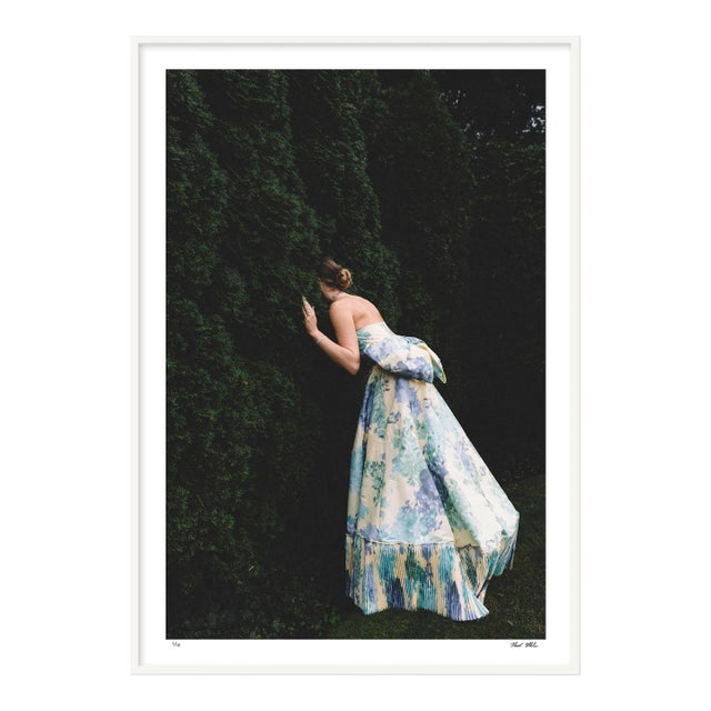 Alice Contemporary Framed Photograph by Nick Mele, Small | Chairish