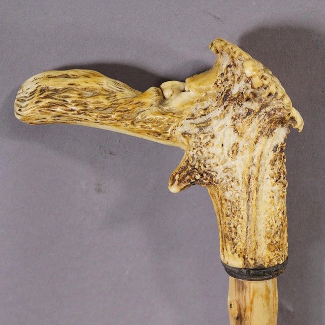 An Antique Walking Stick With Carved Deer Horn Handle Chairish