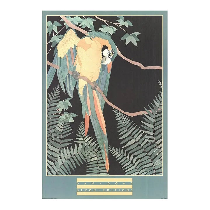 1989 Dan Goad 'Macaw' Offset Lithograph | Chairish