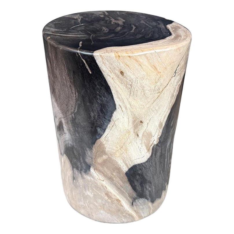 Andrianna Shamaris Modern Organic Super Smooth Petrified Wood Side ...