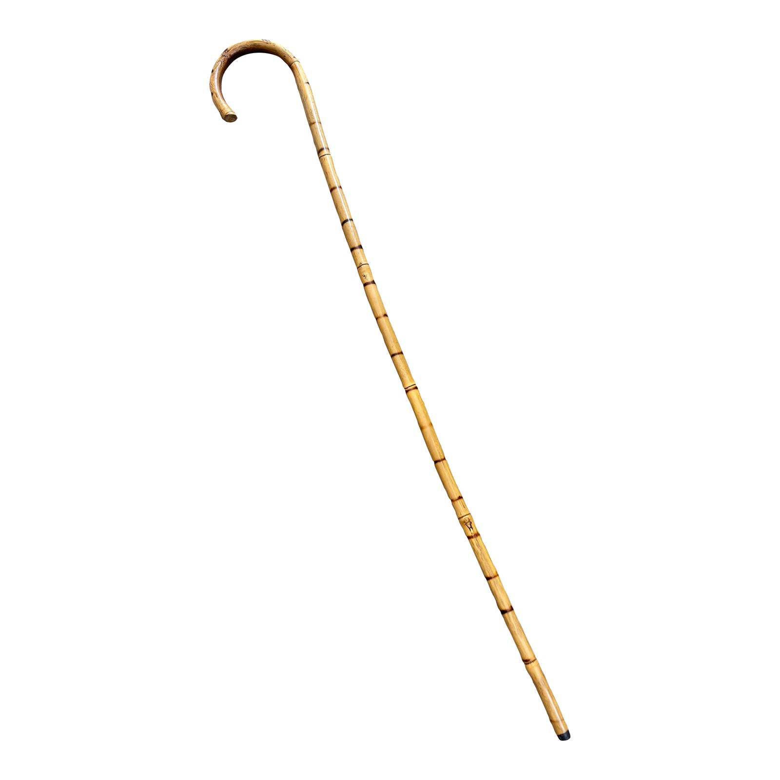 1920s Bamboo Bentwood Cane Walking Stick | Chairish