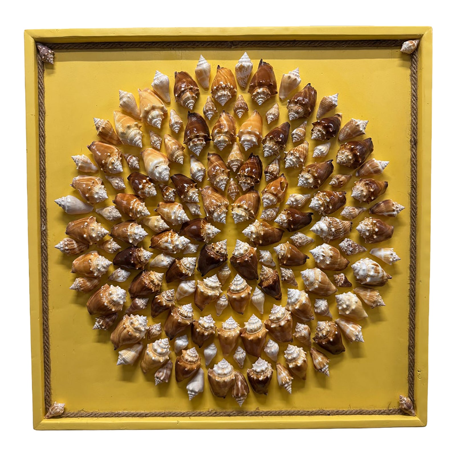 Handmade Custom Seashell Wall Art - Circular Design With Fighting Conch ...