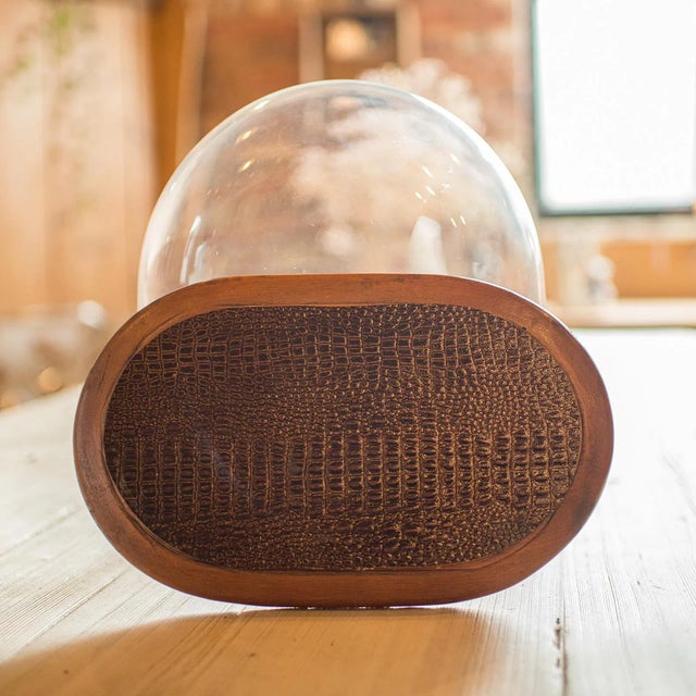 1890's Antique Specimen Display Dome | Chairish