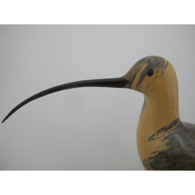 Marc Smith MCM Style Buckeye Burl Wood on Manzanita Base Curlew Bird ...