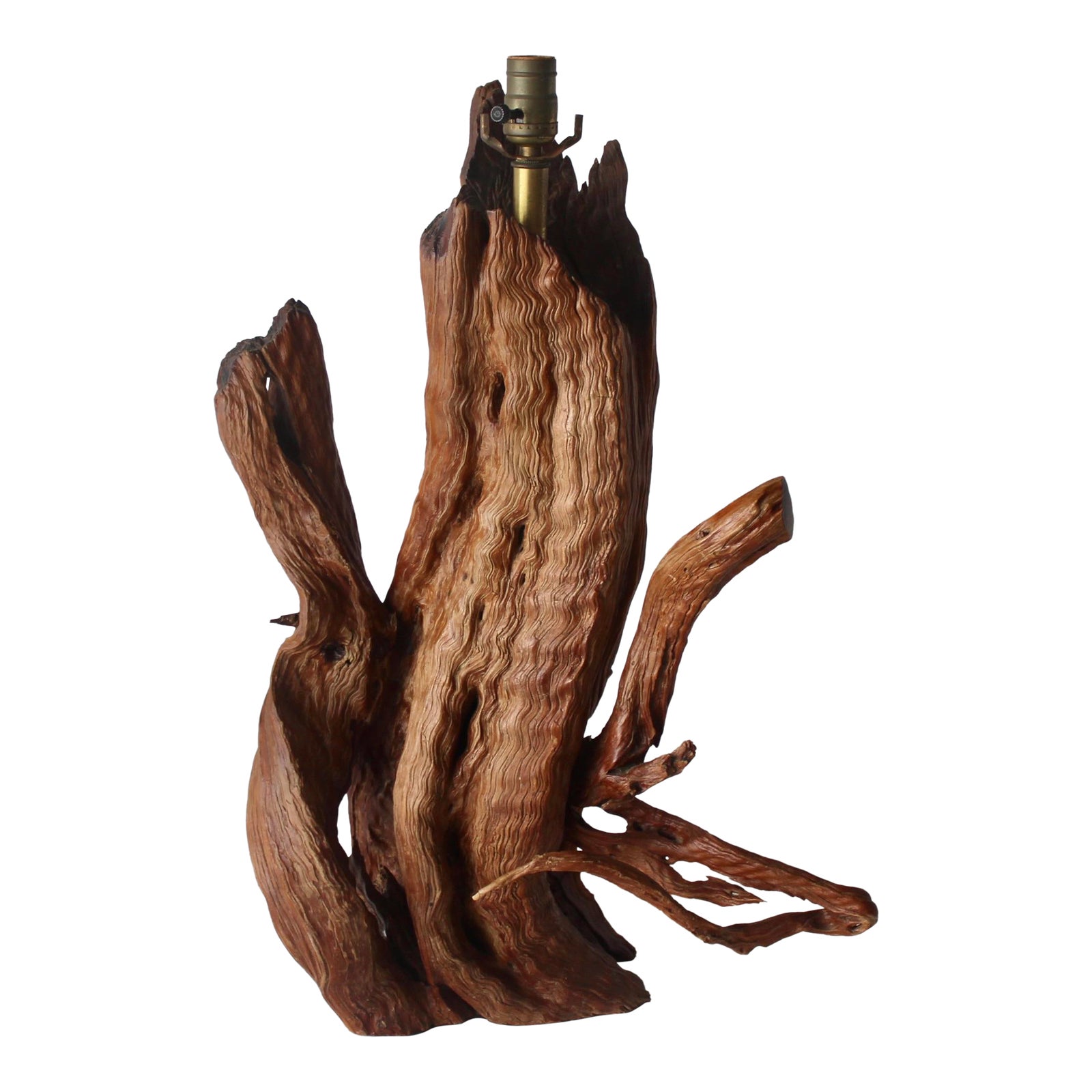 Mid 20th Century Monumental Driftwood Table Lamp Coastal Rustic | Chairish