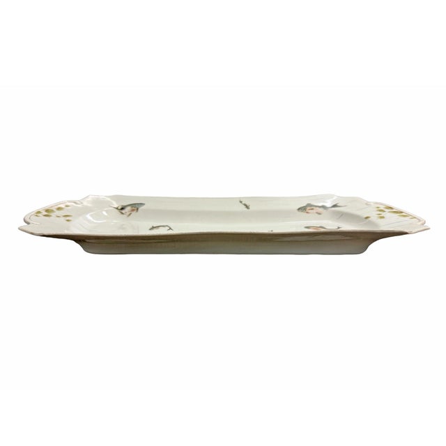 19th Century Austrian Fish Platter | Chairish