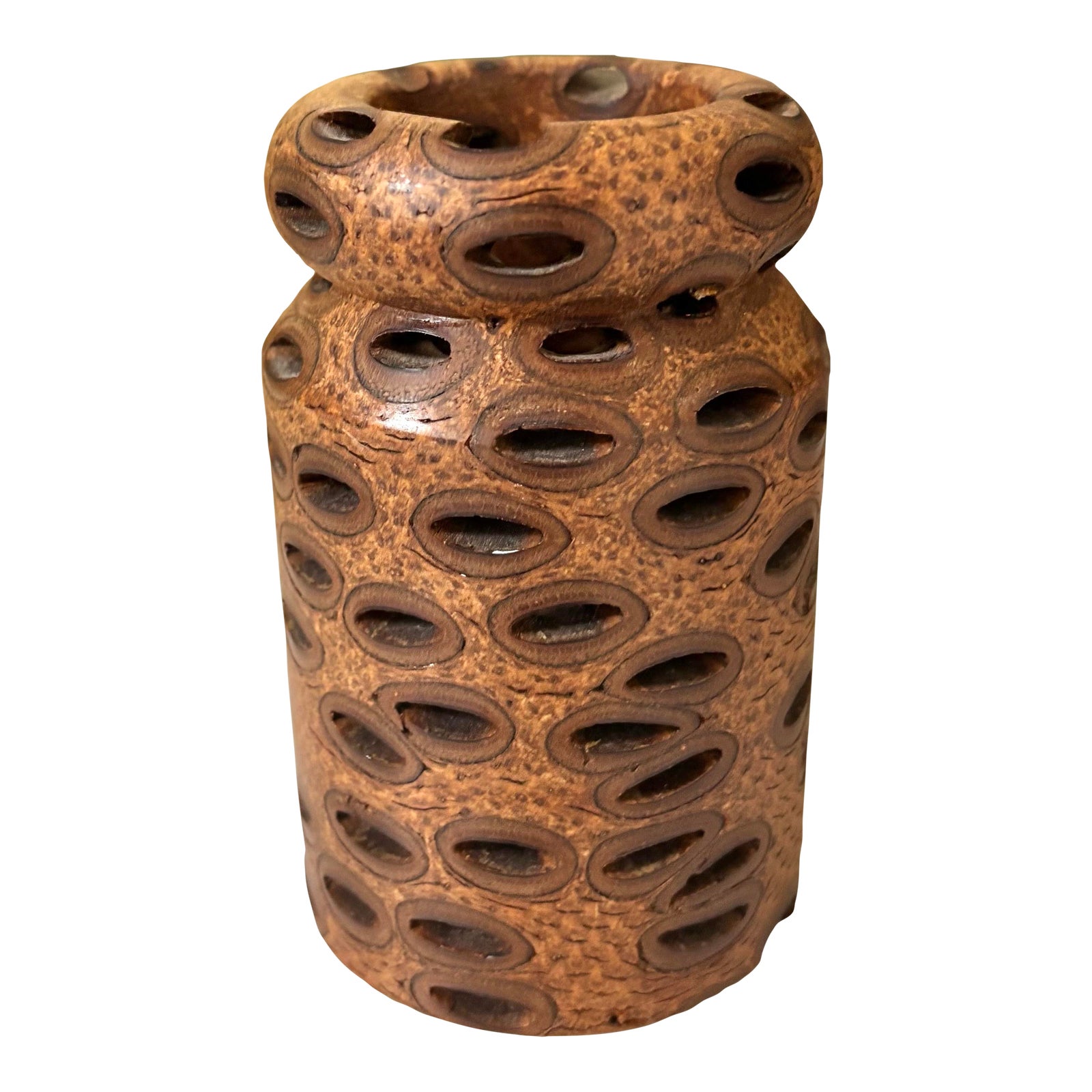 Australian Banksia Seed Pod Pencil Holder | Chairish
