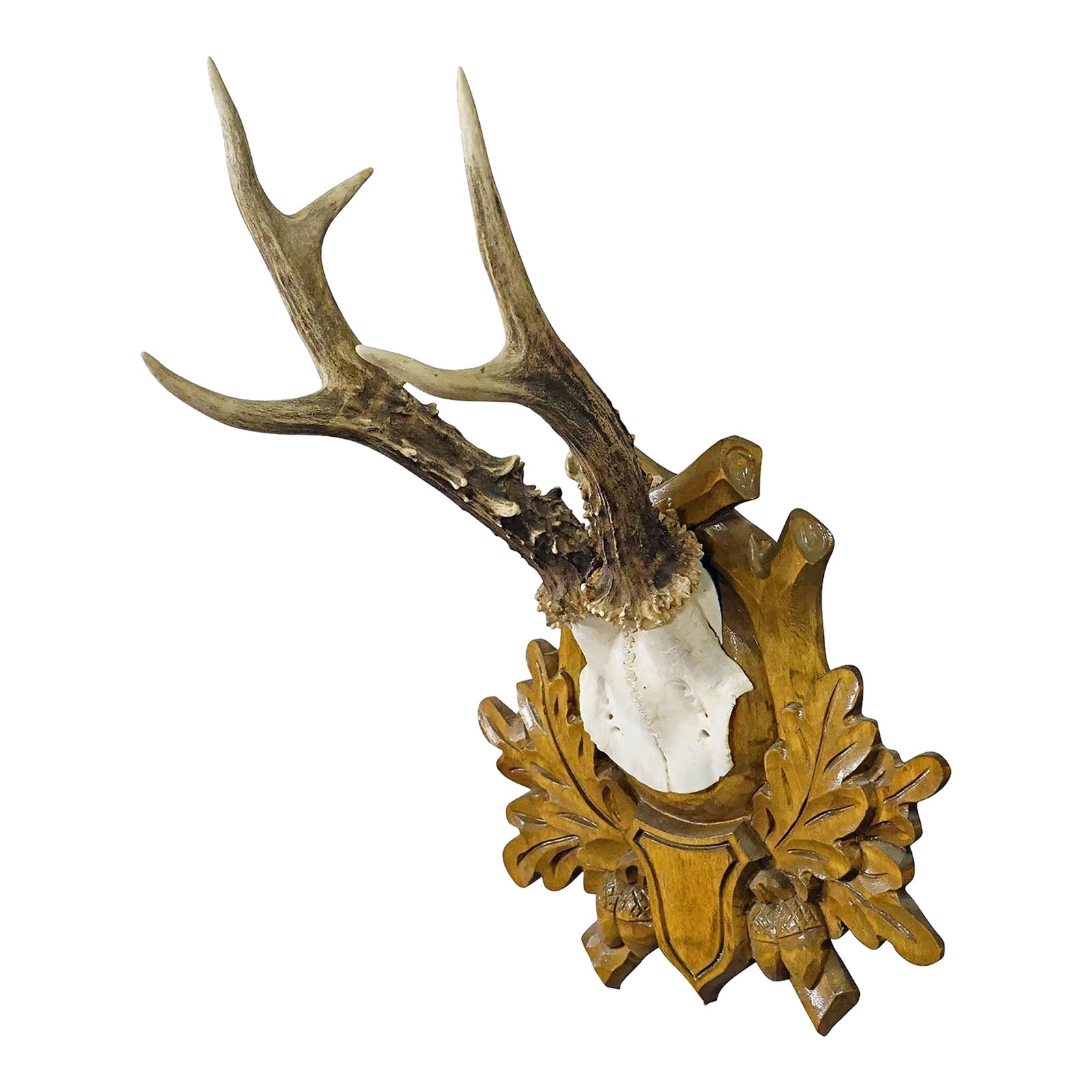Black Forest Vintage Deer Trophy on Carved Plaque | Chairish