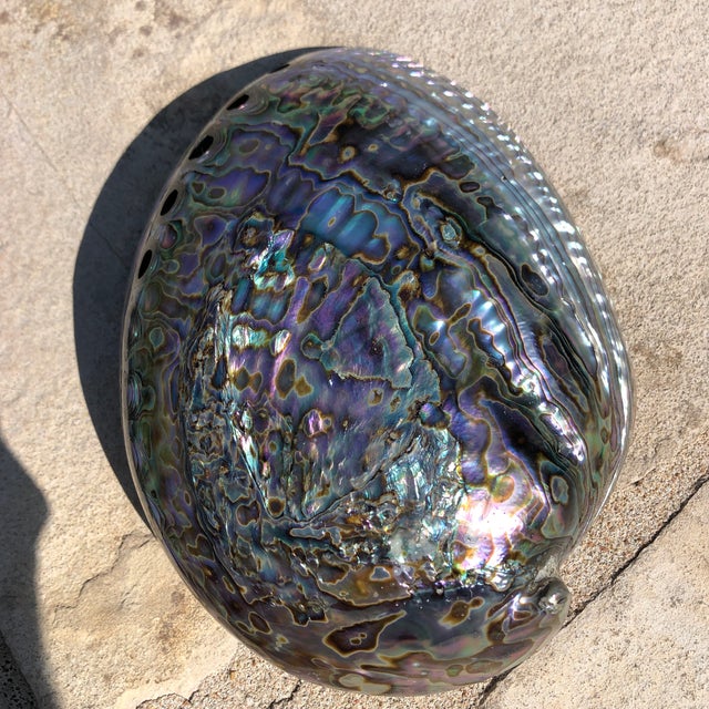 Nautical Natural Iridescent Reverse Polished Abalone SeaShell Bowl ...