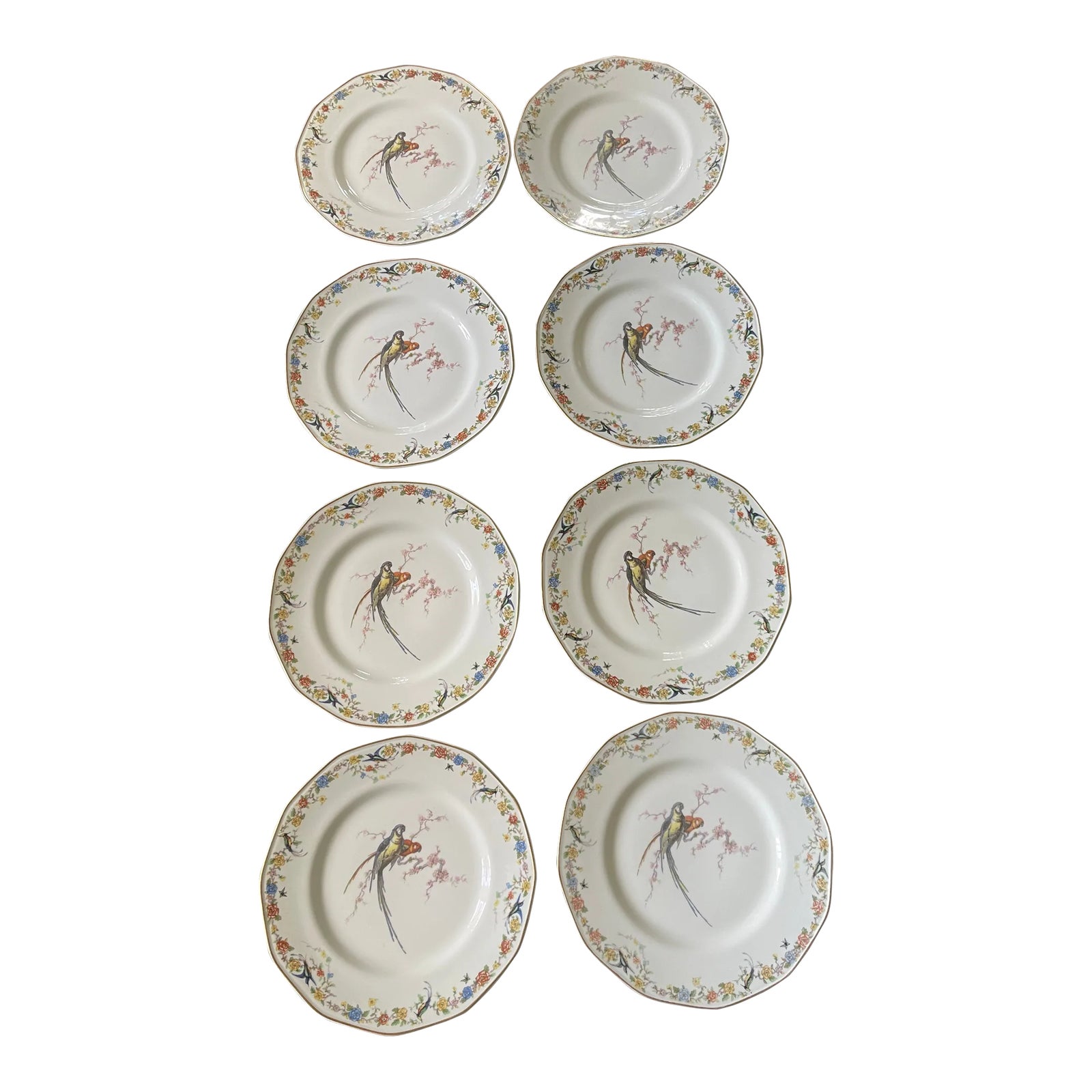 Mid 20th Century French Arcadia Parrrot Plates by Limoges - Set of 8 ...
