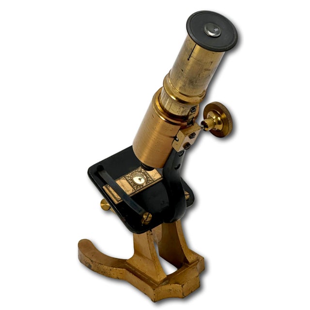 Antique - Late 19th Century Brass & Cast Iron Microscope With Original ...