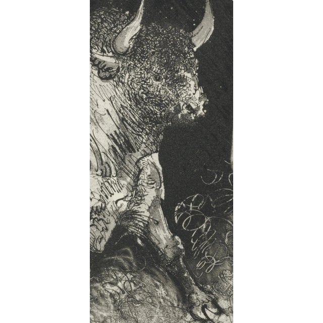 Picasso, Le Taureau, Histoire naturelle (after) 1970 | Chairish
