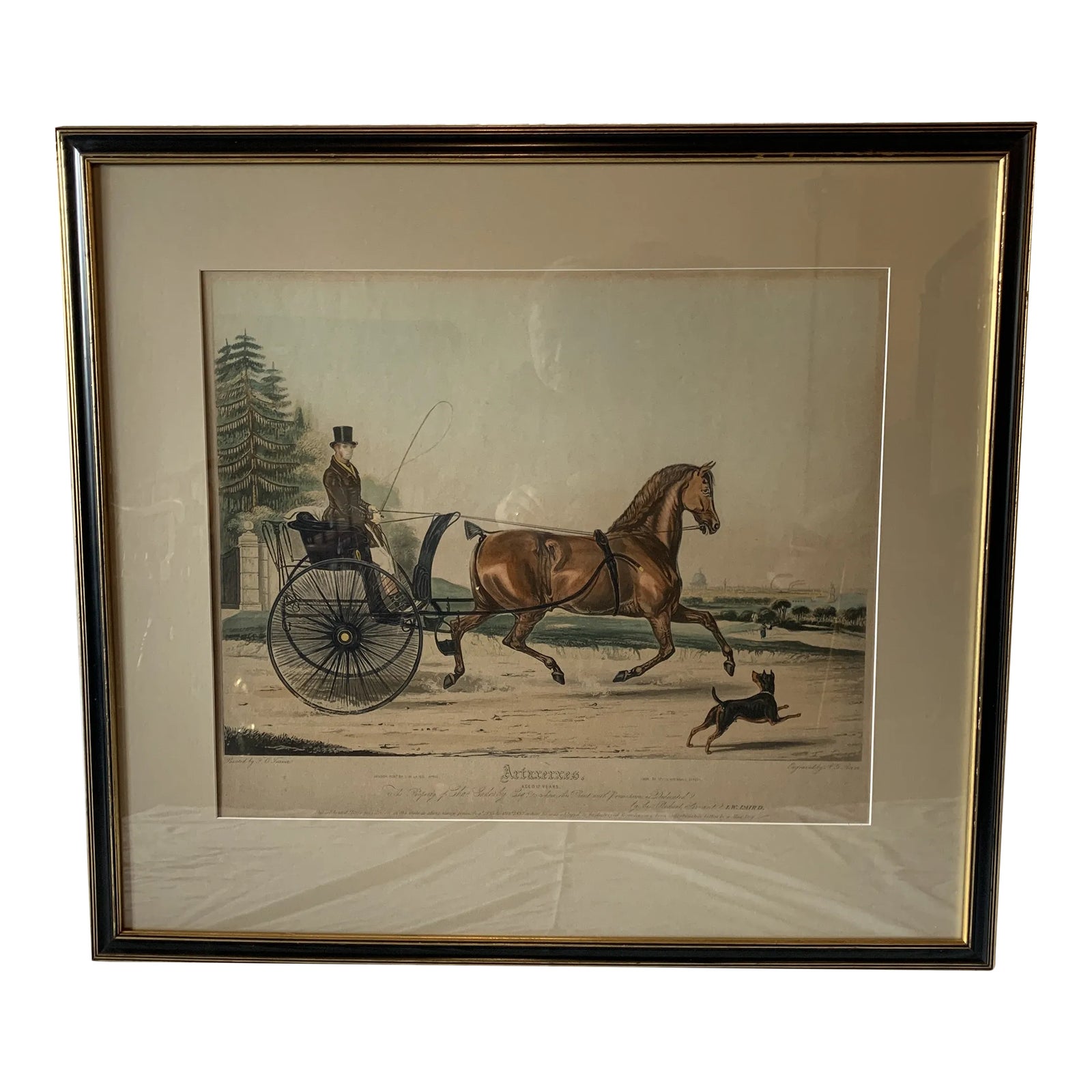 Early 19th Century Hand Coloured English Lithograph | Chairish