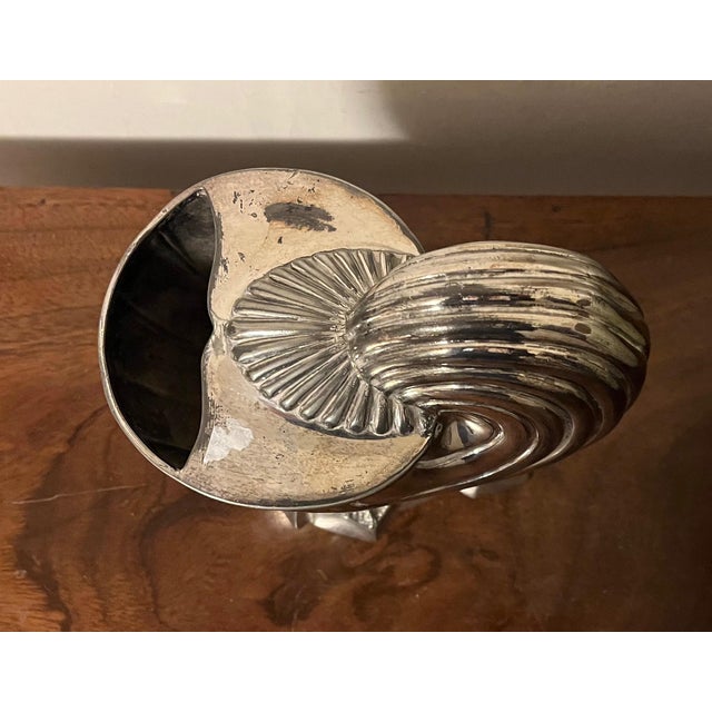 Antique 19th Century Sheffield Silver Plate Nautilus Shell Spoon Warmer ...