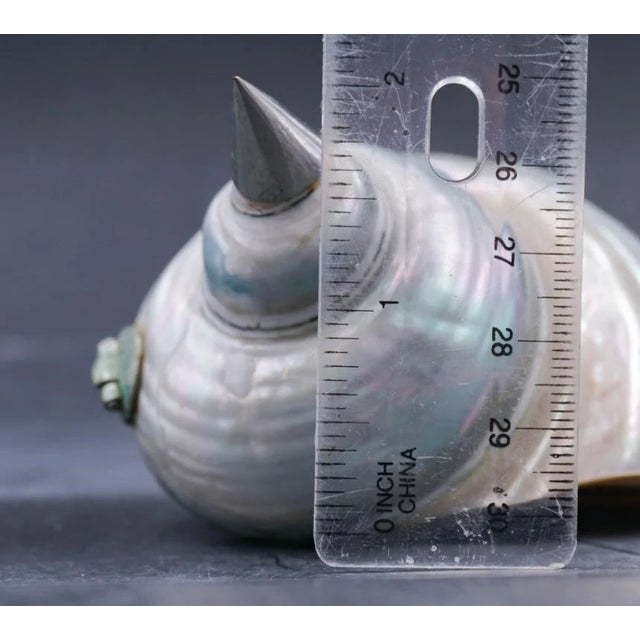 Vintage Polished Shell Box | Chairish