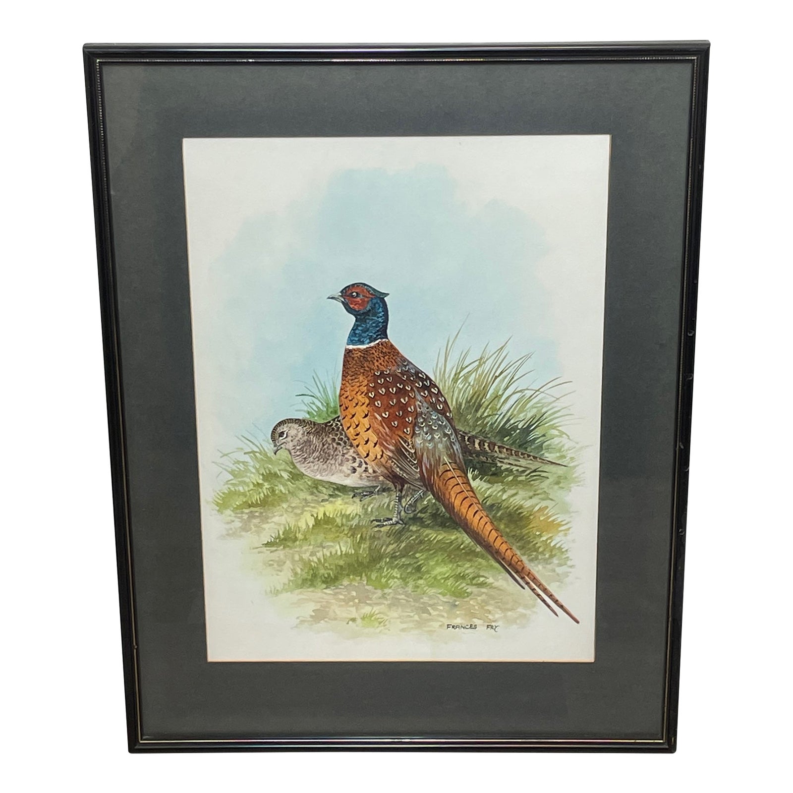 1970s Watercolor Painting of Pheasants in Grassy Moors Minehead ...