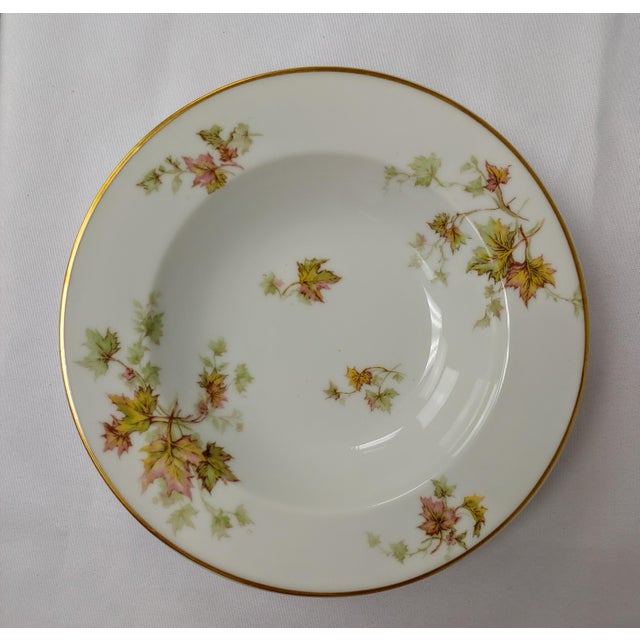 Vintage Haviland's Autumn Leaf Pattern Soup Bowls, Set of 12 | Chairish