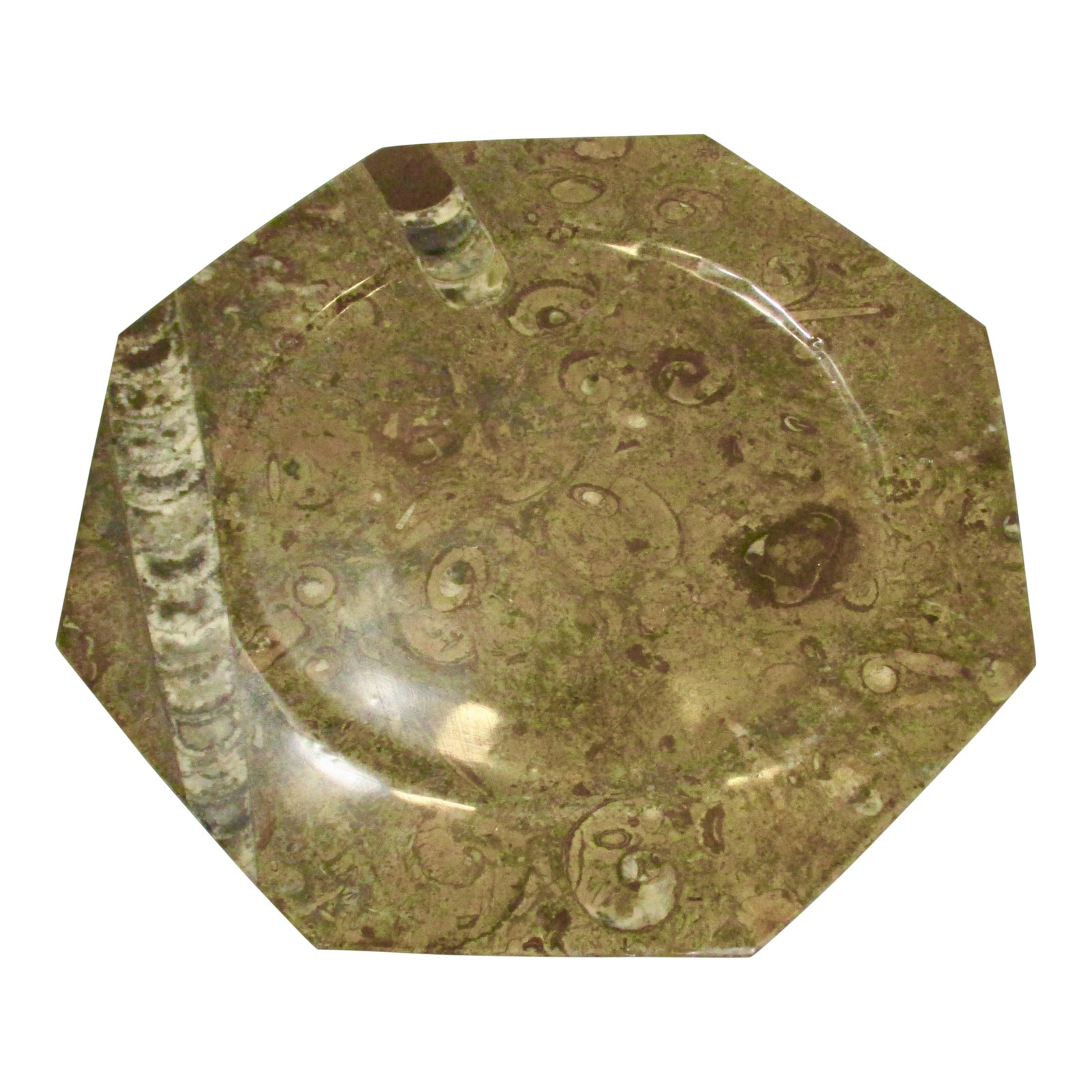Orthoceras Fossil Octagon Plate | Chairish