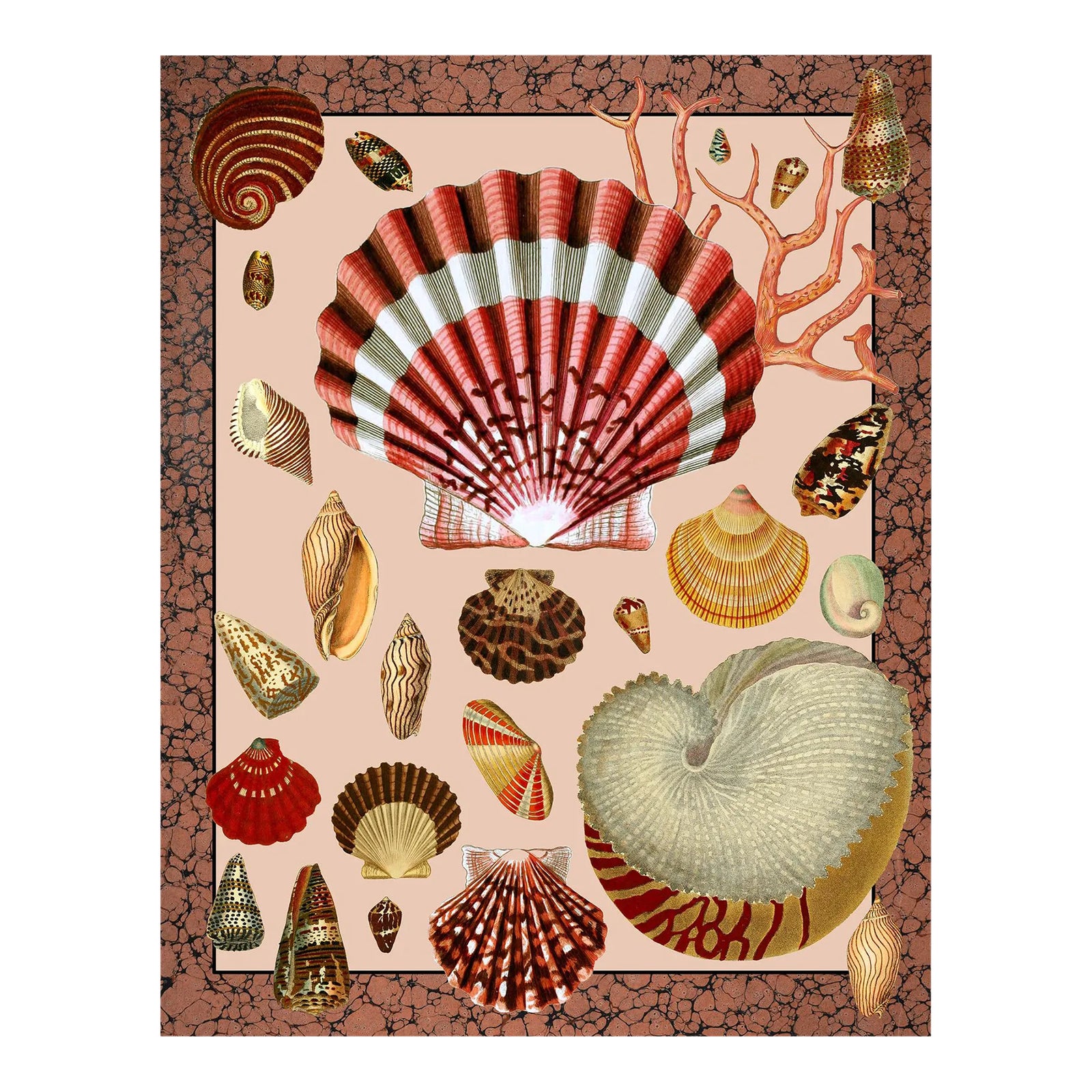 "Coquille " Maximalist Shell Collage Print | Chairish