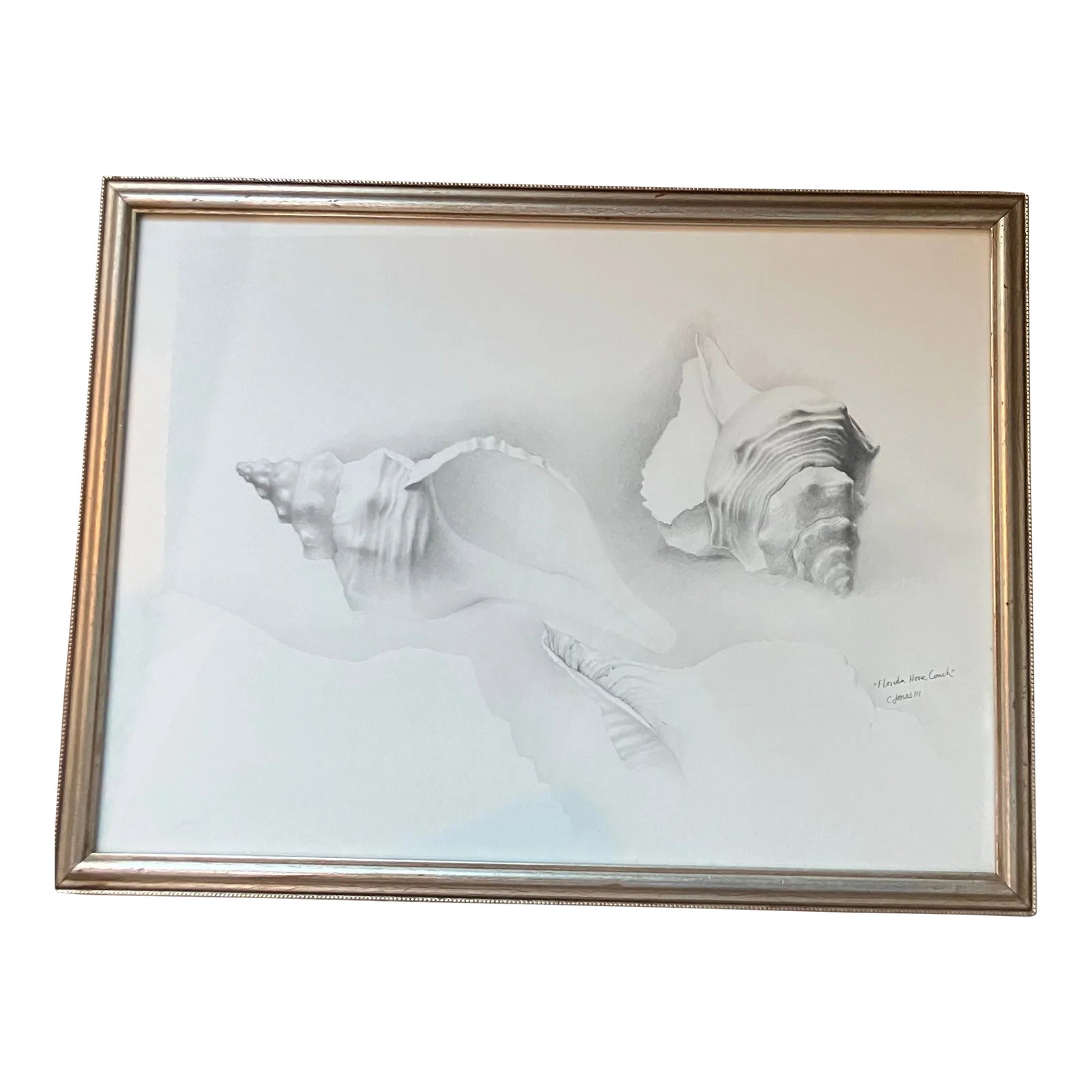 1980’s Vintage Beachy Seashell Pencil Drawing Signed | Chairish