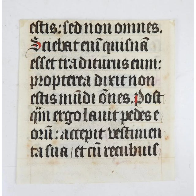 Small Illuminated Manuscript on Velum | Chairish
