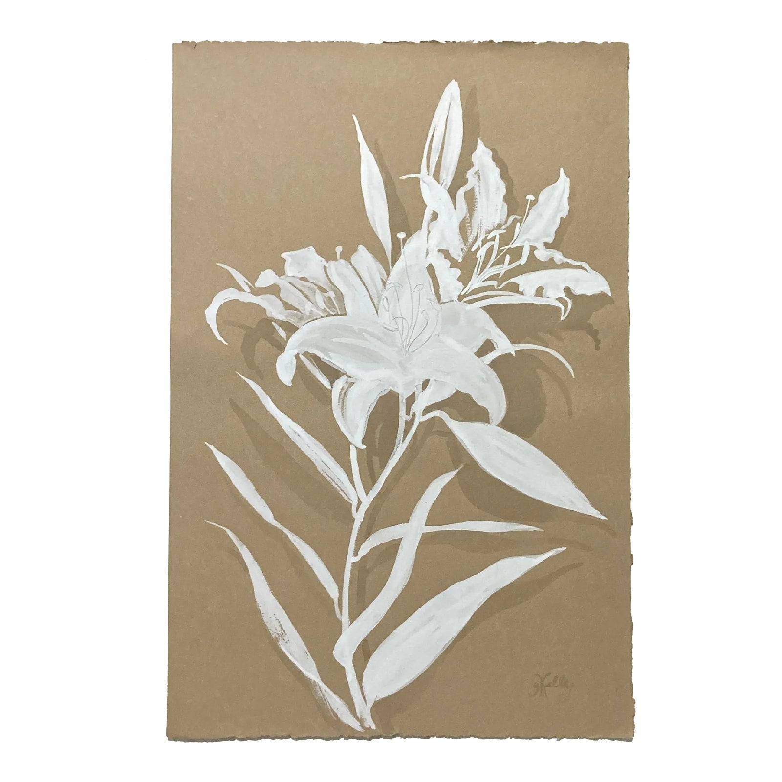 White Lily, Original Gouache Painting by Gretchen Kelly | Chairish