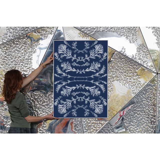 "Vintage Pressed Flowers Nº1", Botanical Cyanotype on Watercolor Paper ...