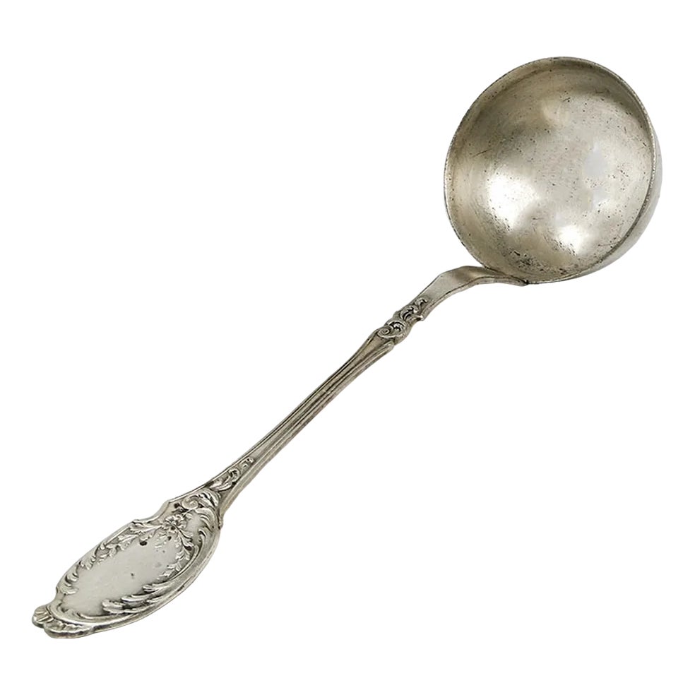 Dipper from Henneberg, Germany, Early 20th Century | Chairish